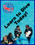 Aquatic Realm Scuba Center/PADI Scuba Diving and Snorkeling Lessons